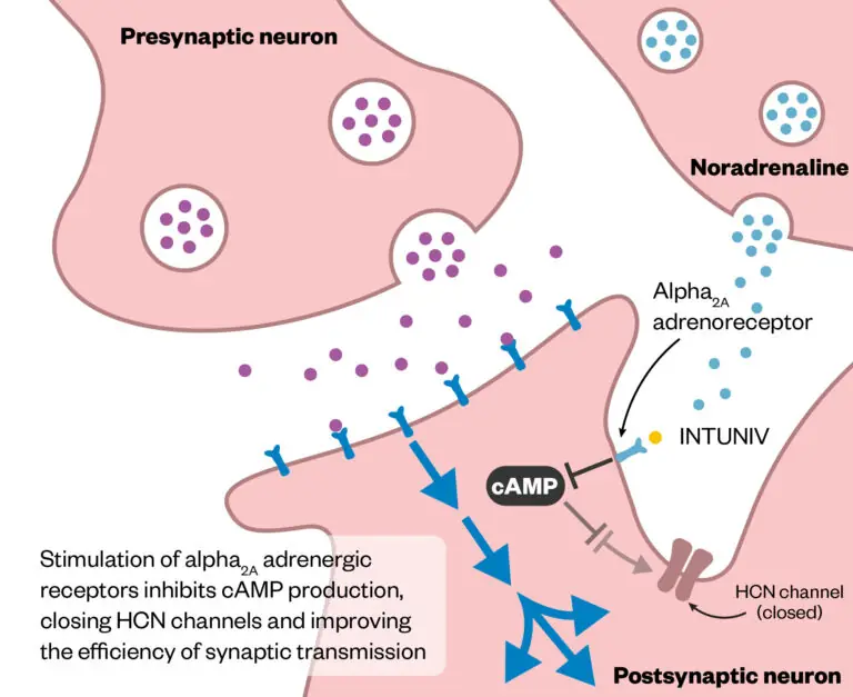 Stimulant and non-stimulant agents for ADHD - The Pharmaceutical Journal