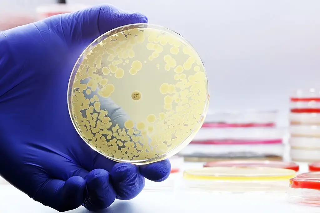 ‘Cocktail’ of medicines in waterways could pose new AMR threat - The ...