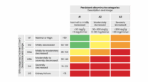Chronic kidney disease: impacts, challenges and pathways to improvement ...